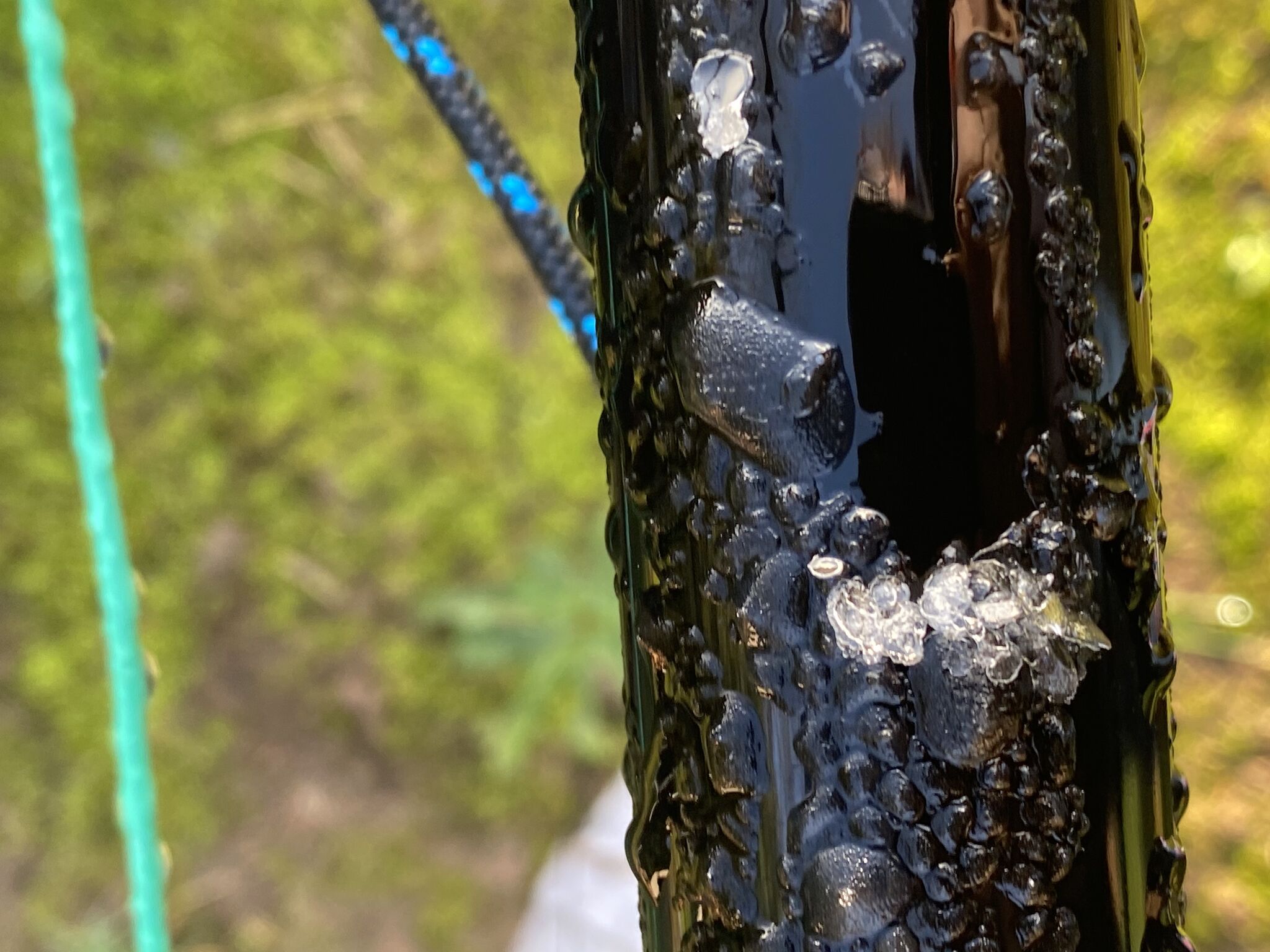 Nebula | 2E0FWE Site